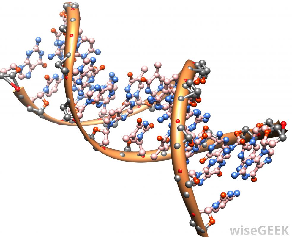 Medicinal Biochemistry Research Article Plant Molecular Biology Case Medicinal Biochemistry Research Article Plant Molecular Biology Case